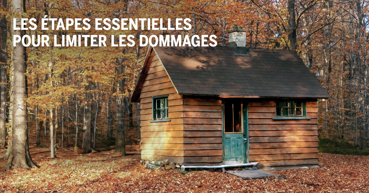 Préparez votre chalet pour l’hiver en 5 étapes | L’Unique
